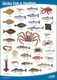 Amazon.com: Alaska Fish and Shellfish: Posters & Prints