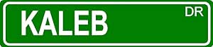 Amazon.com: Green 6"X24" KALEB name PLASTIC novelty street sign great ...