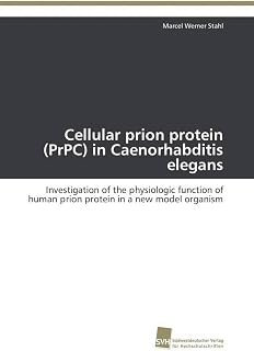 Prion Proteins: Unlocking The Secrets Of Protein Function | MedShun
