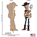 Amazon.com: Cardboard People Woody & Forky Life Size Cardboard Cutout ...