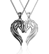 Amazon.com: MONGAS Blue Jay Necklace Sterling Silver Blue Jay Pendant ...
