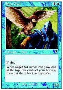Amazon.com: Magic: the Gathering - Sage Owl - Seventh Edition : Toys ...