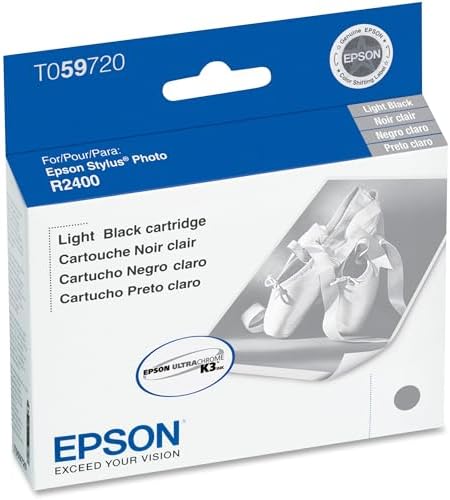 Amazon.com: EPSON T059720 Light Black -Ink -Cartridge - Stylus Photo ...