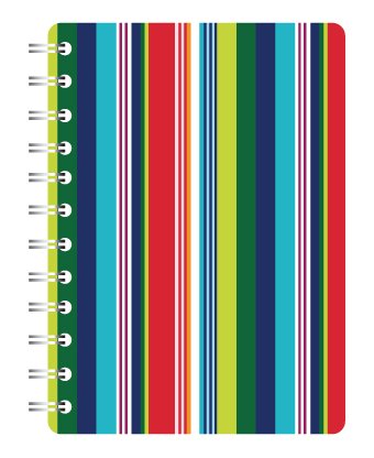 Go Stationery A5 Notebook Race Stripe: 5060247223919: Amazon.com: Books