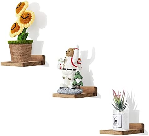 Amazon.com: NIUBEST Small Floating Shelf,Set of 1 Display Ledges for ...