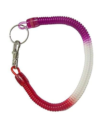 NPRC Key Ring Spiral Multicolor Plastic Key Chain Stretchable String ...
