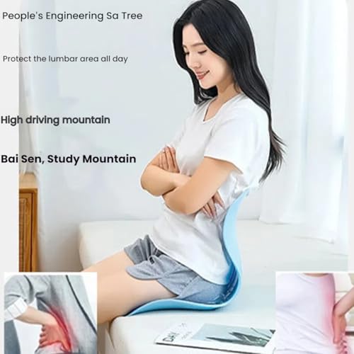 TIZYFF Lumbar Support Posture Corrector Chair for Adults – Large ...