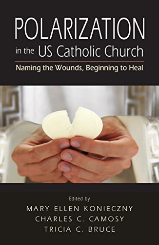 Amazon.co.jp: Polarization in the US Catholic Church: Naming the Wounds ...