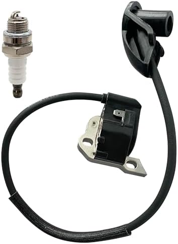 Amazon.com: Ignition Coil Module with Spark Plug for Ryobi BP42 ...