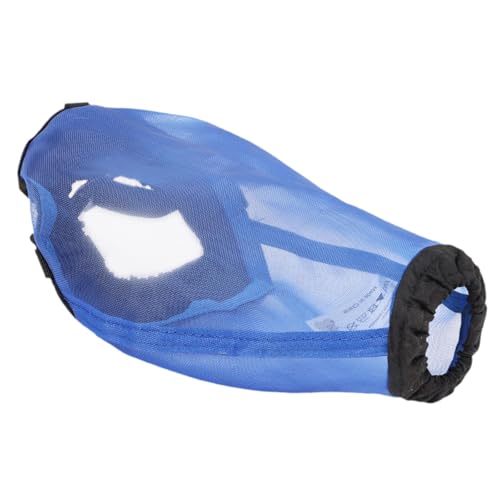 Foxtail Dogs – The 15 best products compared - Wild Explained