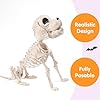 Amazon.com: JOYIN Posable Halloween Dog Skeleton Full Body Posable ...