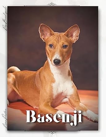 Basenji: Dog breed overview and guide - Kindle edition by Pustova, Nina ...