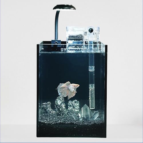 Aquarium Tank - Large - Molded Plastic - 1.75 Gallon Capacity - 10.25 ...