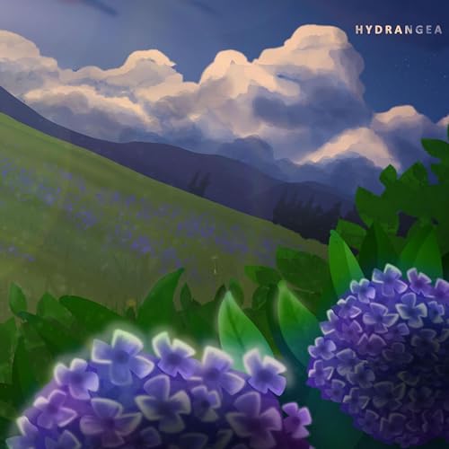 Play Hydrangea by Iwey on Amazon Music Unlimited