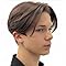 Salaibs Black Short Wigs for Men Straight Middle Part Synthetic Heat ...