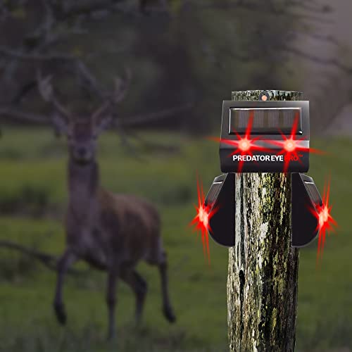 Aspectek Predator Eye Night Time Solar Powered Animal Repeller Review ...