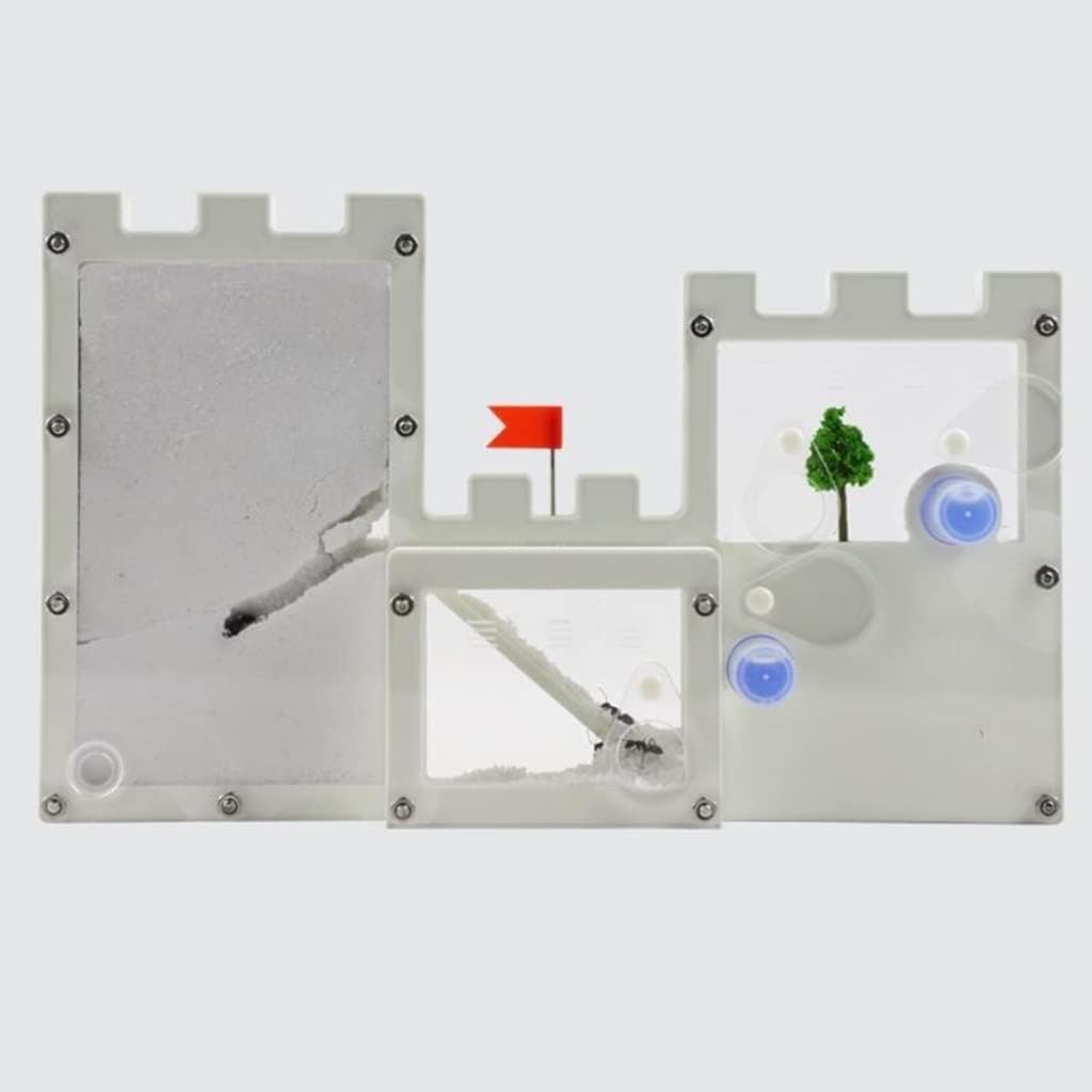 Ant Farm Castle Creative Ant Castle Ecosystem Australia | Ubuy
