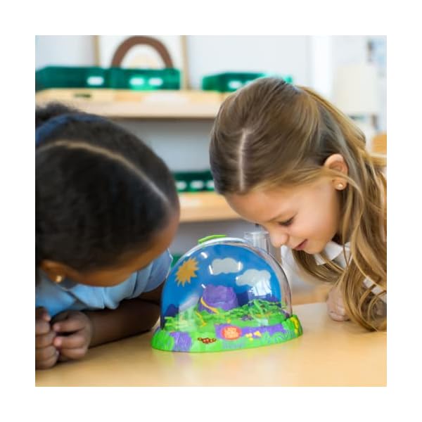 Insect Lore Ladybug Land | Ladybug Growing Kit Habitat | Redeem Voucher ...