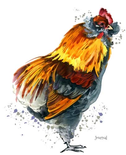 Journal: Rumpless Araucana Cockerel Chicken Notebook (Chicken ...