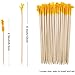 Amazon.com | BLUE TOP 2000pcs 4 Inch Wood Frill Picks Toothpicks,Club ...