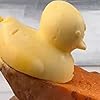 Amazon.com: Gemdwpw Duck Whipped Cream and Rice Mold, Shape Maker Tool ...