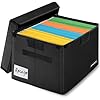 Amazon.com: JUNDUN File Box, Fireproof File Storage Organizer Box with ...