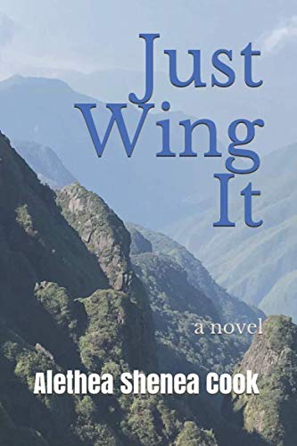 Just Wing It: a novel: Cook, Alethea Shenea: 9781733146708: Amazon.com ...