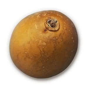 Amazon.com : Guaje Cirial (Cuatecomate, Morro, Totuma) by Herbs of ...