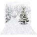 Amazon.com : Allenjoy 5x7ft Fabric Photography Christmas Photo ...
