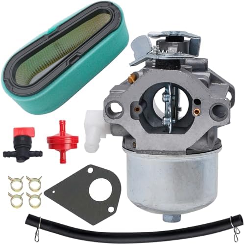 Amazon.com: JDLLONG 495782 Carburetor for 497581 494894 495784 494881 ...