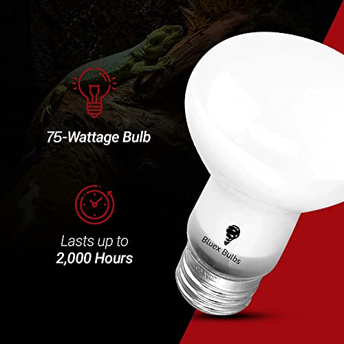 Snapklik.com : 4 Pack 75-Watt Basking Light For Reptile - Heat Lamp ...