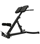 Amazon.com: Roman Chair Back Extension Machine Foldable 5 Position Sit ...
