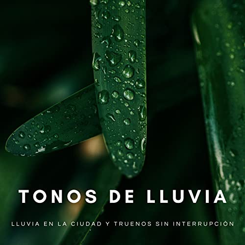 Spiele Tonos De Lluvia: Lluvia En La Ciudad Y Truenos Sin Interrupción von Masaje Relajante ...