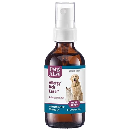 10 Effective Homeopathic Remedies to Soothe Your Furry Friend's Skin ...