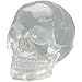 Amazon.com: Crystal Skulls - Translucent Skull - Cold Cast Resin - 5 ...