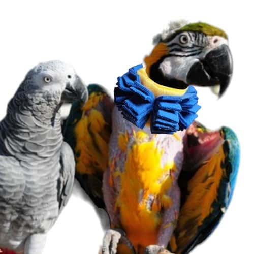 Amazon.com: Handmade Soft Bird Fringe Neck Collar for Macaw Parrots ...