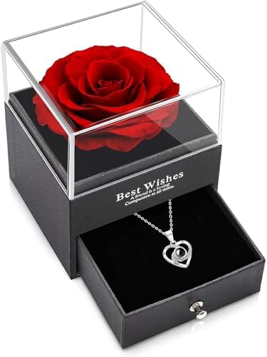 Andizun Preserved Rose Gifts for Her, Gift Box with I Love You Necklace ...