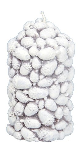 Fantastic Craft Beaded Acorn Pillar Candle, 5-Inch, Snow : Amazon.in ...