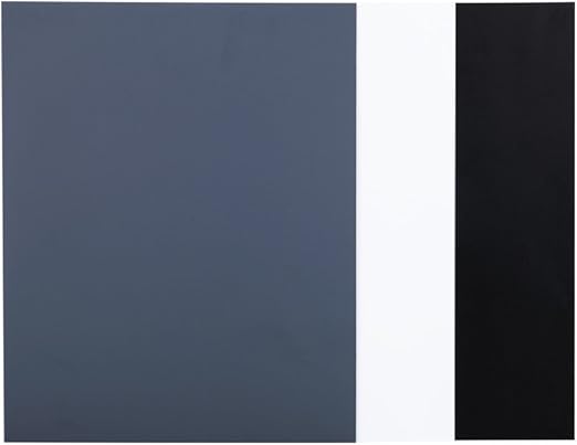 Amazon.com : JJC 10" x 8" PVC White Balance Card Set for Achieving ...