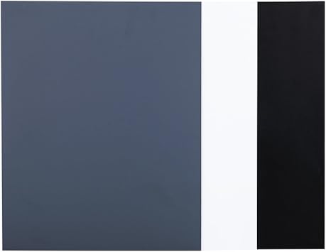 Amazon.com : JJC 10" x 8" PVC White Balance Card Set for Achieving ...