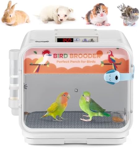 Amazon.com : Proshine 110V Pet Brooder Portable Bird Brooder for ...