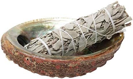 Sage Smudge Kit - White Sage Smudge Sticks ~ Abalone Shell 5-6 in ~ 2 ...
