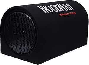 Woodman BT10 10-inch Bass Tube with in-Built Amplifier (Black) : Amazon ...