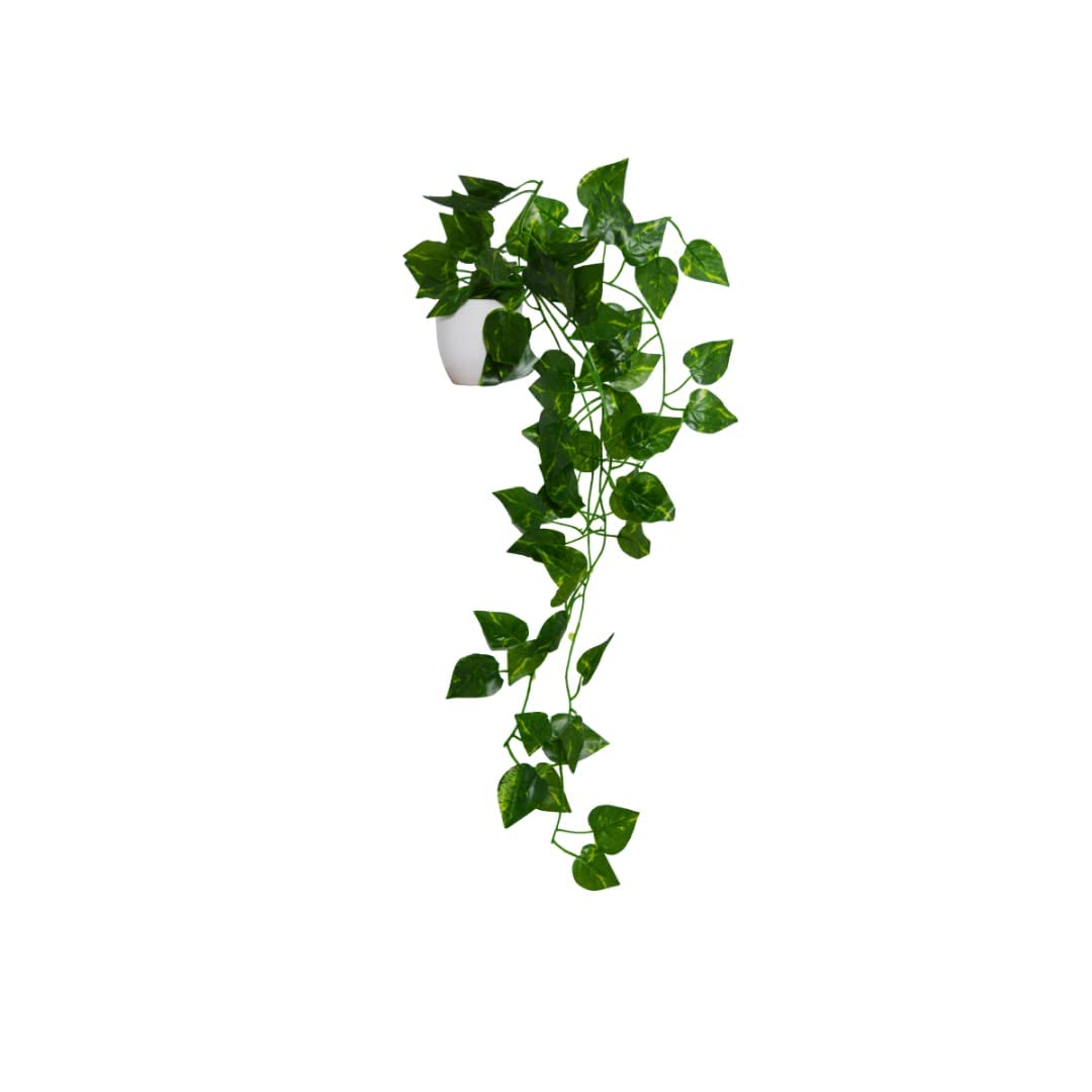 Buy fancymart Artificial Vine Plants Falling with Small Size Pot ...