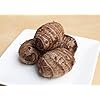 Amazon.com : Fresh Taro Root - 8 oz of Root, Premium Quality ...