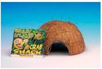 Amazon.com : T-Rex Crab Shack, habitat, hermit, humidity, pet, crabs ...