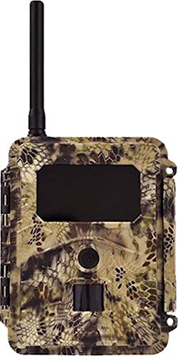 Best Blackout Trail Camera » Maximum Hunt