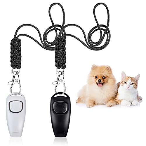 Clicker para perros: qué es y cómo usarlo para entrenar a tu mascota ...