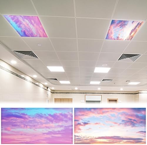 PIAOPIAONIU 2 Pcs 4 x 2 Feet Fluorescent Light Covers for Ceiling Light ...