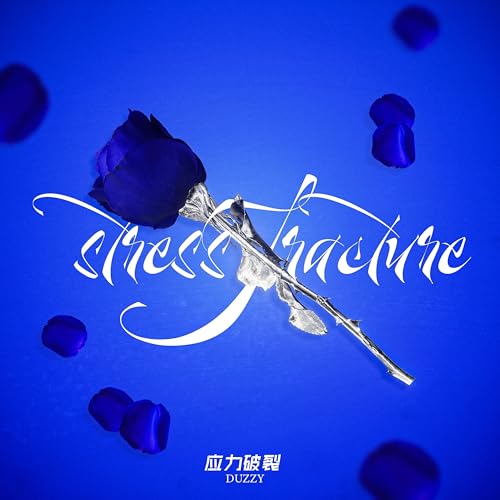 Amazon Music - Duzzyの应力破裂 - Amazon.co.jp